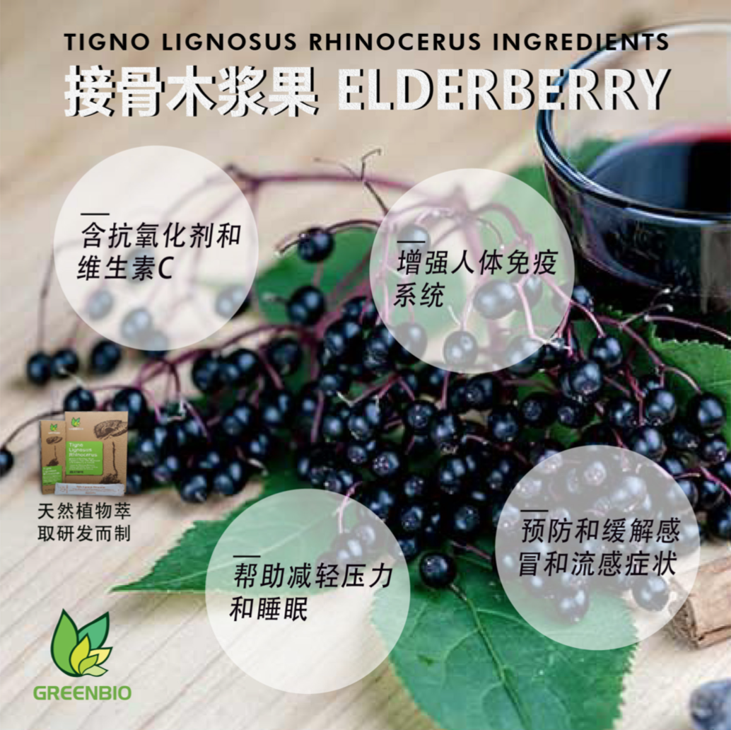 Tigno Tiger Milk Mushroom + Elderberry + Acerola + Zinc 虎乳芝 (15sachet ...