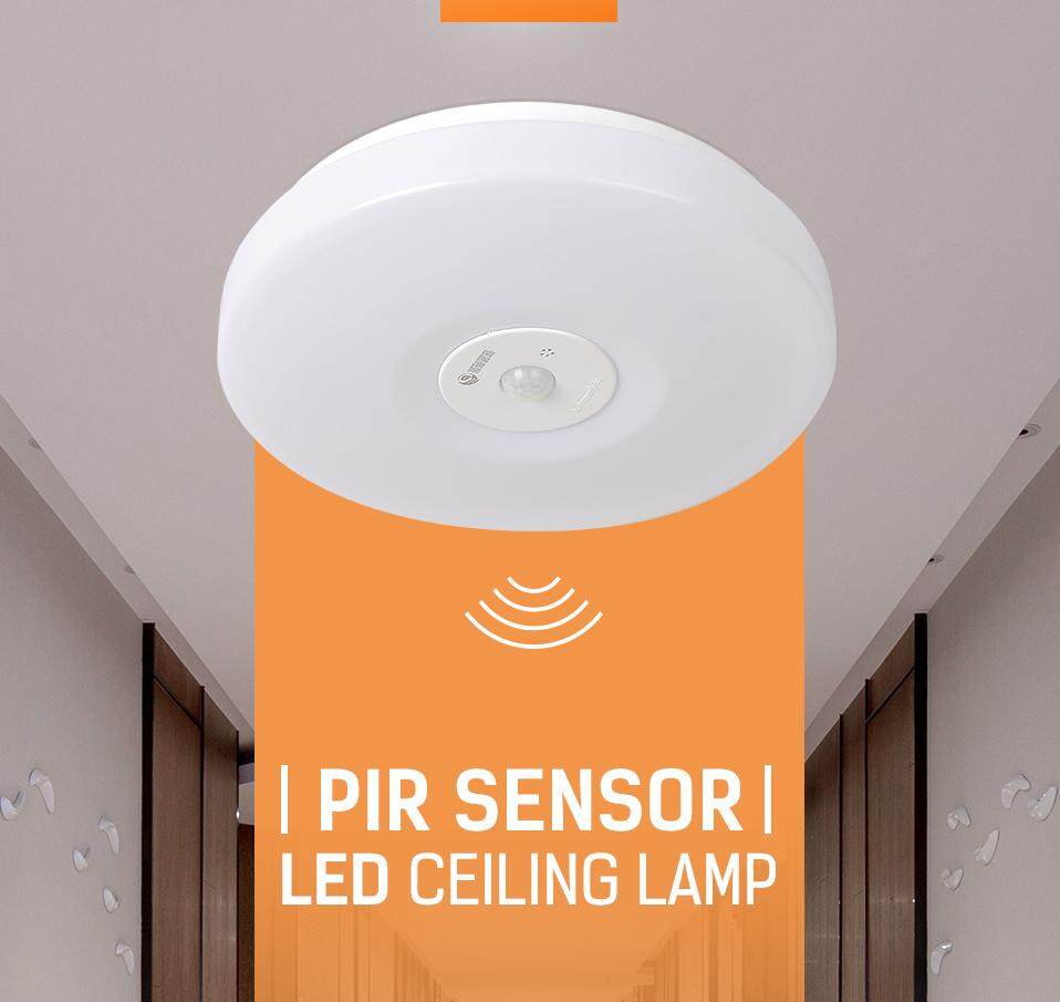 Motion Activated Ceiling Light Indoor | Shelly Lighting