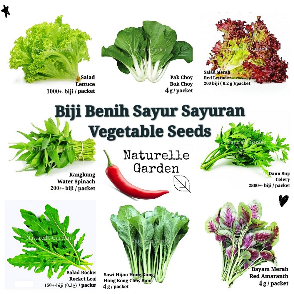 Shop Sayur Sayuran Cameron online - Jul 2024 | Lazada.com.my