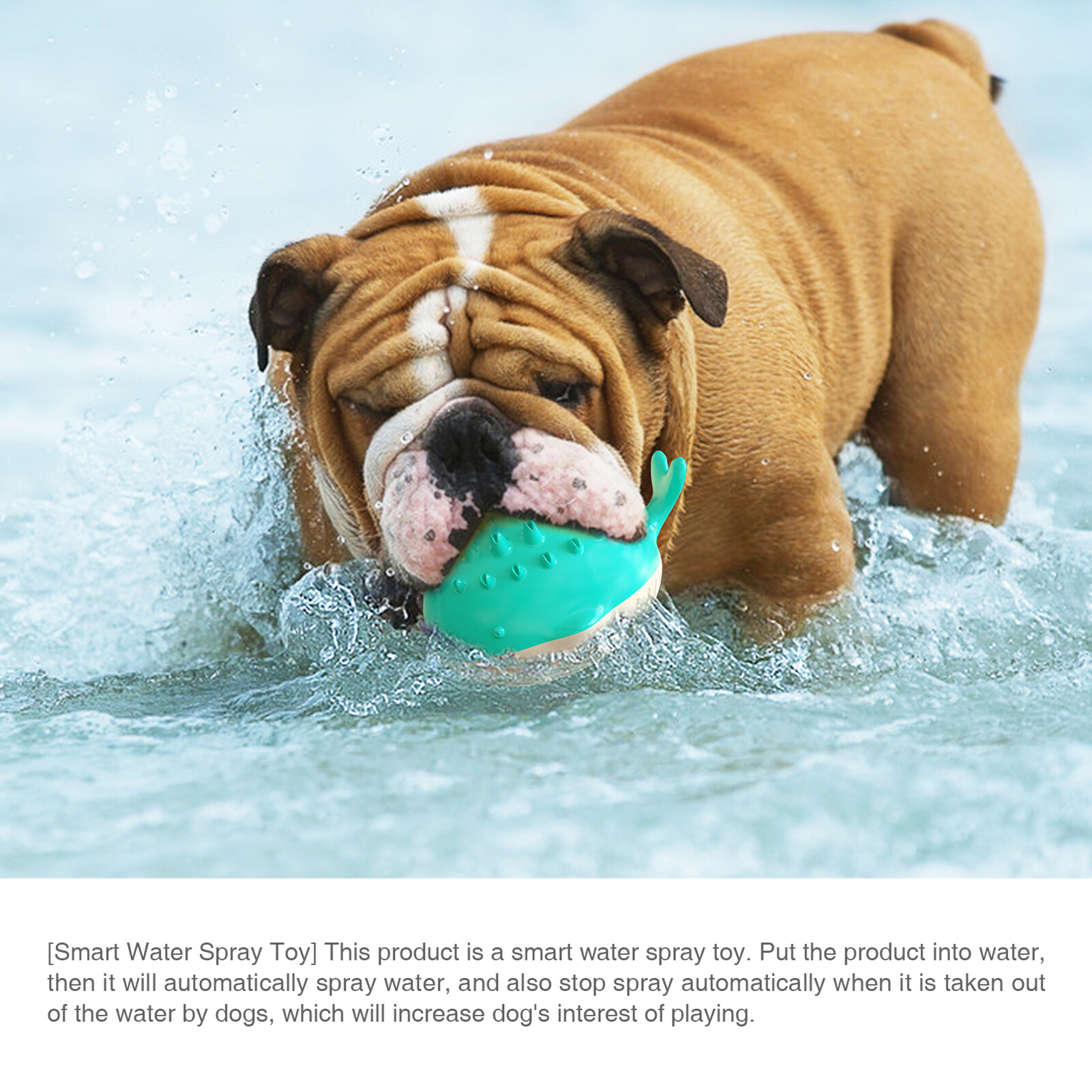 Can I Give My Dog Smart Water