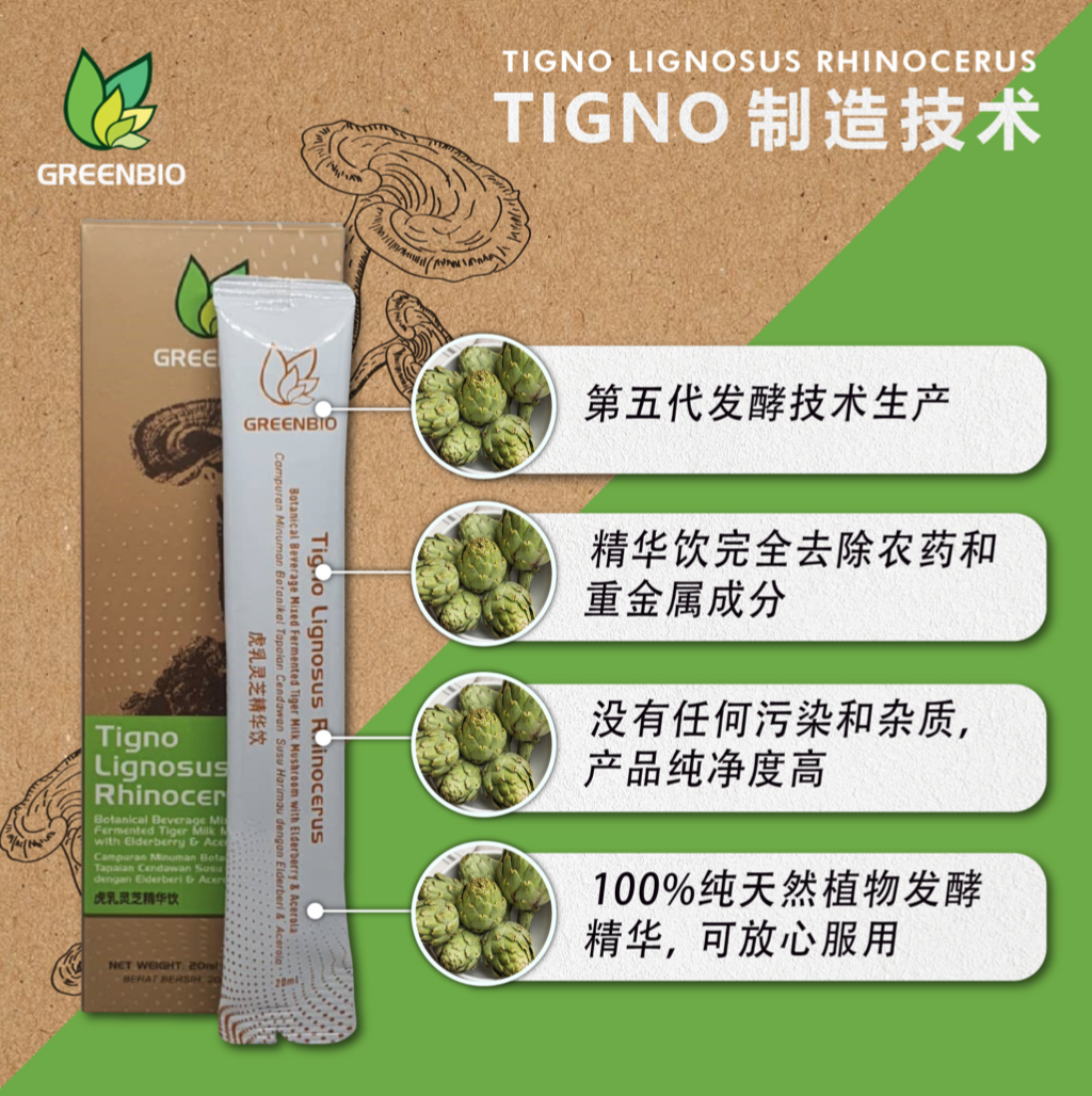 Tigno Tiger Milk Mushroom + Elderberry + Acerola + Zinc 虎乳芝 (15sachet ...