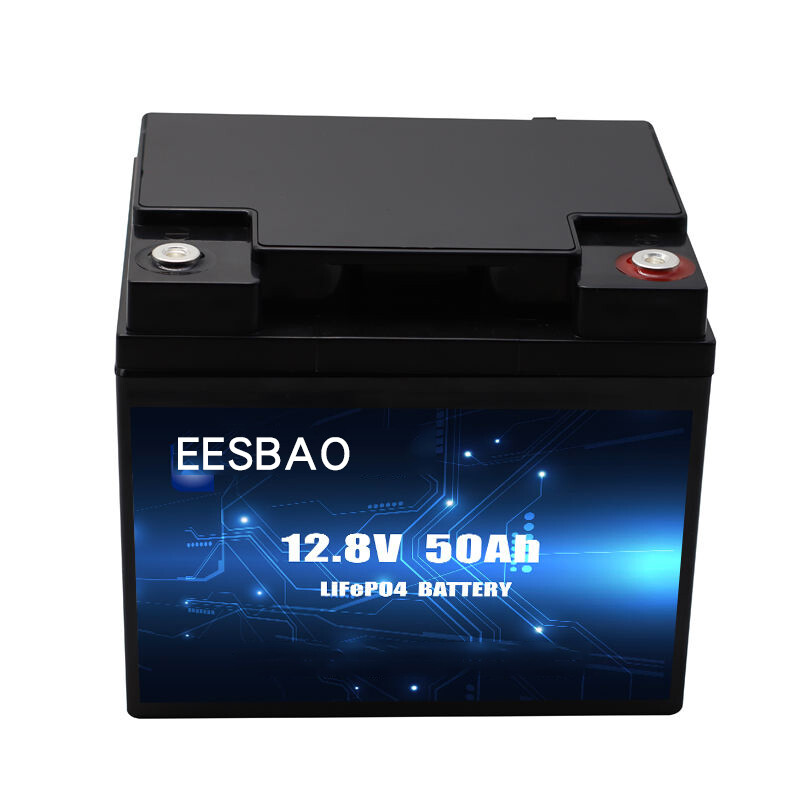 LIFEPO4 50AH giá rẻ Tháng 5,2023|BigGo Việt Nam