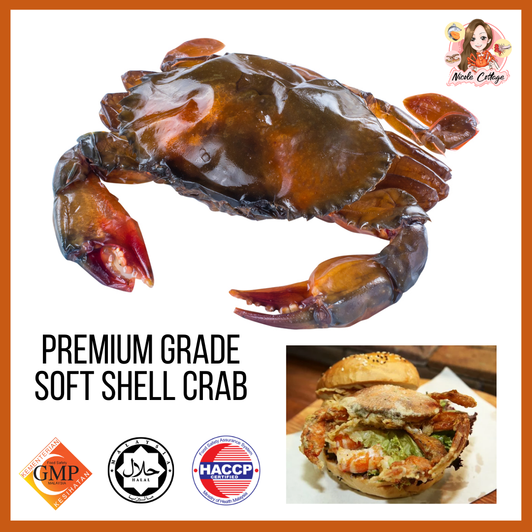 Frozen Flower Crab Singapore | Best Flower Site