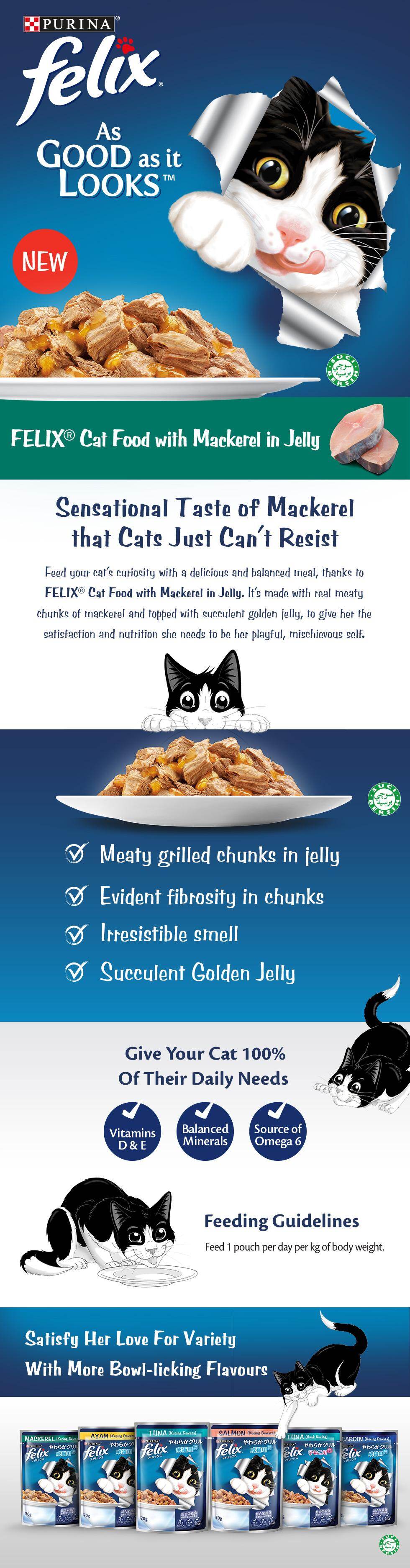 FELIX® Adult Cat With Mackerel in Jelly (12 x 70g) | PGMall