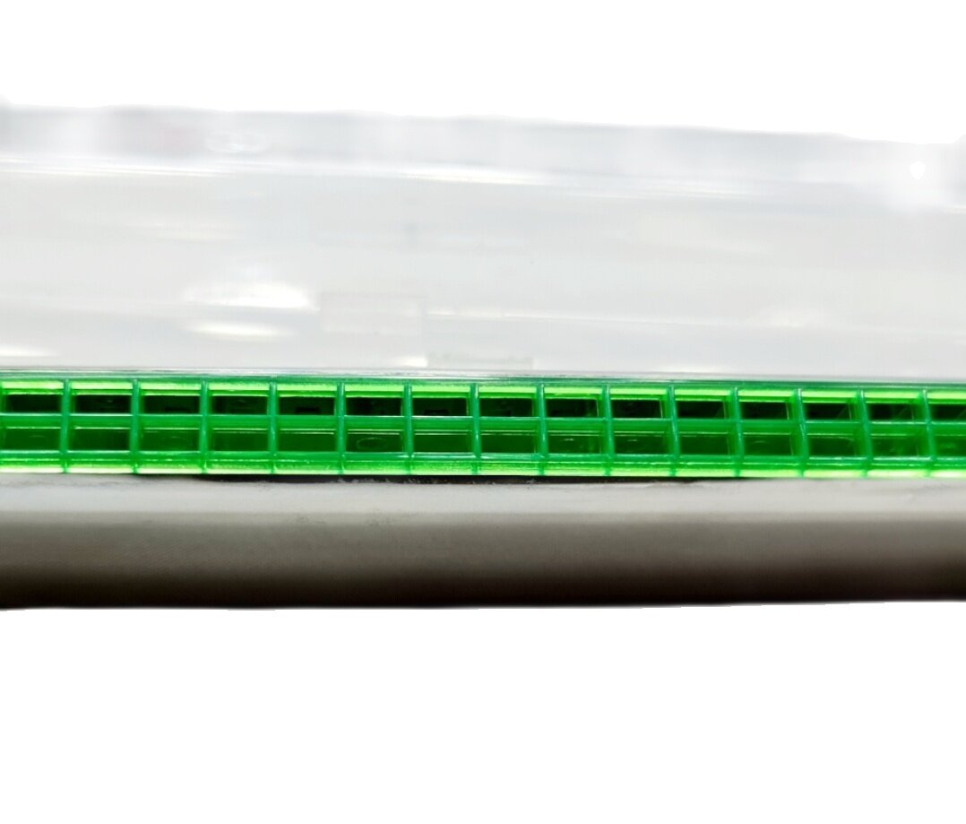 24 Hole Harmonica Key Of C Mouth Metal Organ For Beginners