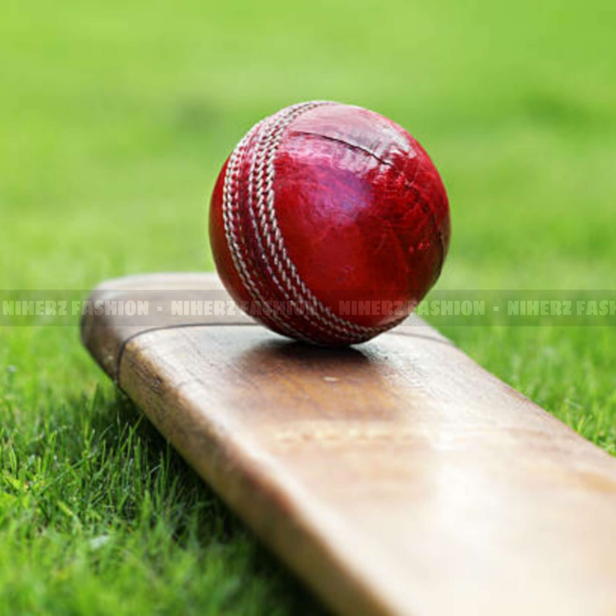 Premium Professional Cricket Ball Leather A Grade Four Part Balls ...