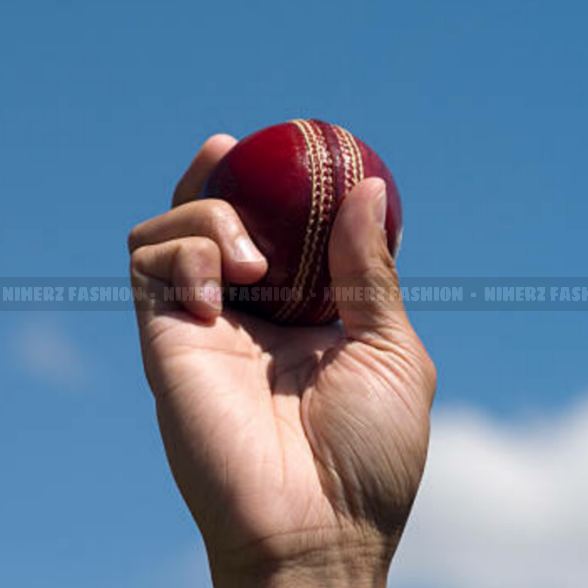 Premium Professional Cricket Ball Leather A Grade Four Part Balls ...