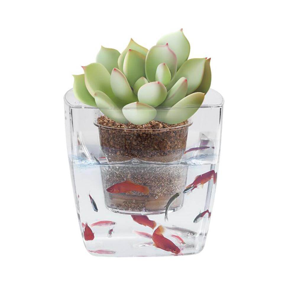 Hydroponic Herb Garden Fish Tank | Fasci Garden