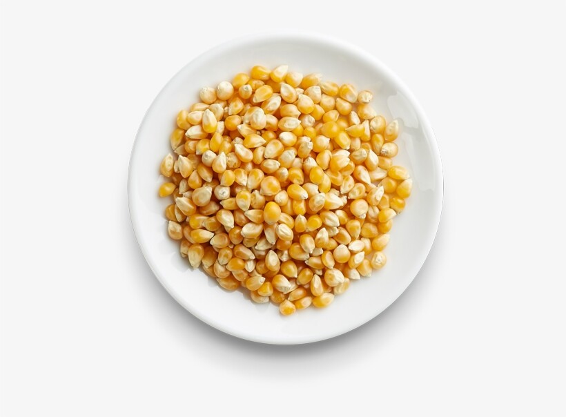 Sumo’s Premium KINGPOP Popcorn Seed Mushroom – Sumo's