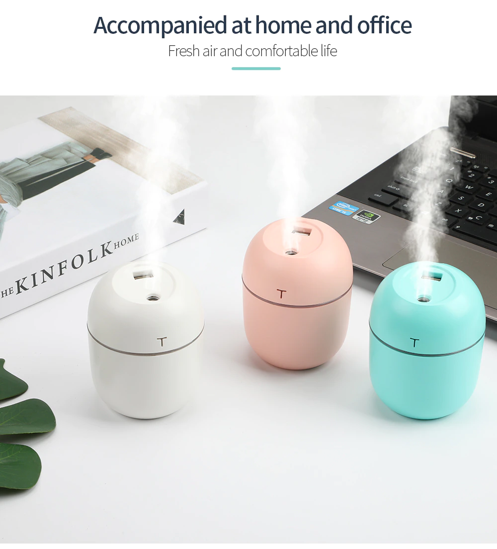 Large Air Diffuser USB Portable Egg Humidifier: Freshen Your Space with ...