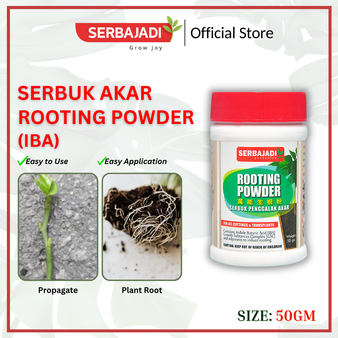 Shop Ubat Pengalak Akar Pokok online | Lazada.com.my