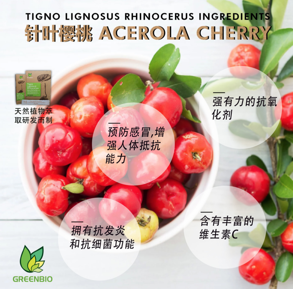 Tigno Tiger Milk Mushroom + Elderberry + Acerola + Zinc 虎乳芝 (15sachet ...