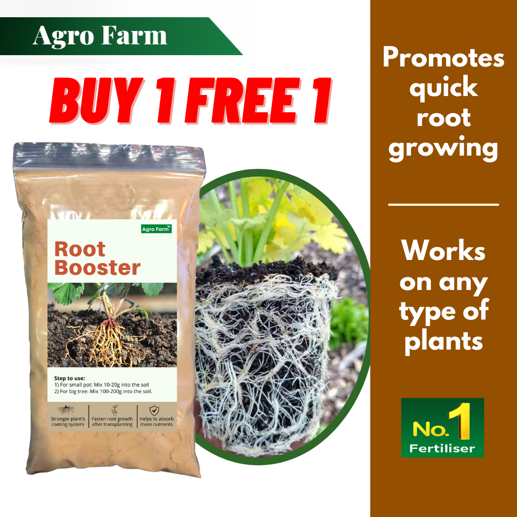 Shop Pengalak Akar Rooting King online - May 2024 | Lazada.com.my