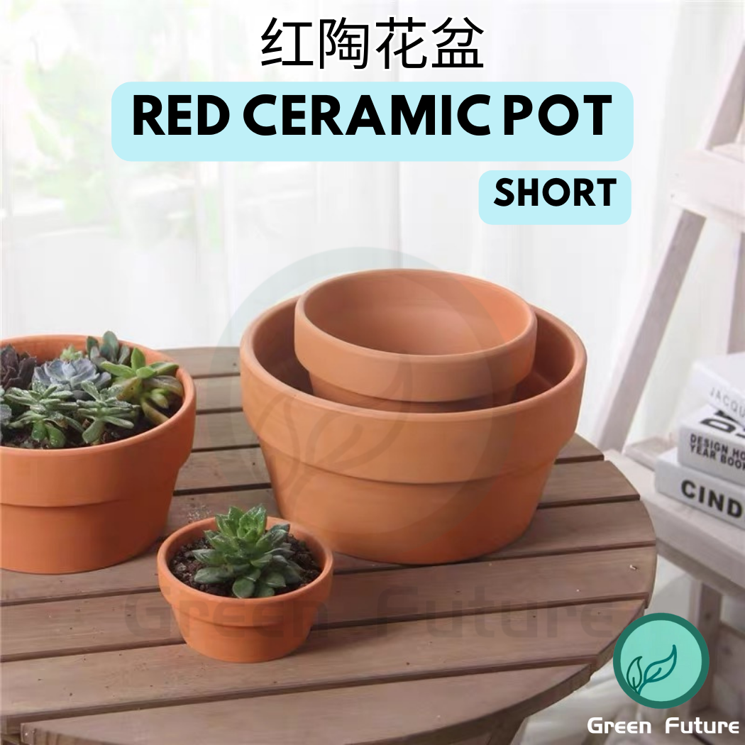 Shop 【6 Size Short Serious】 Red Pottery Clay Pot Succulent Flower Pot ...