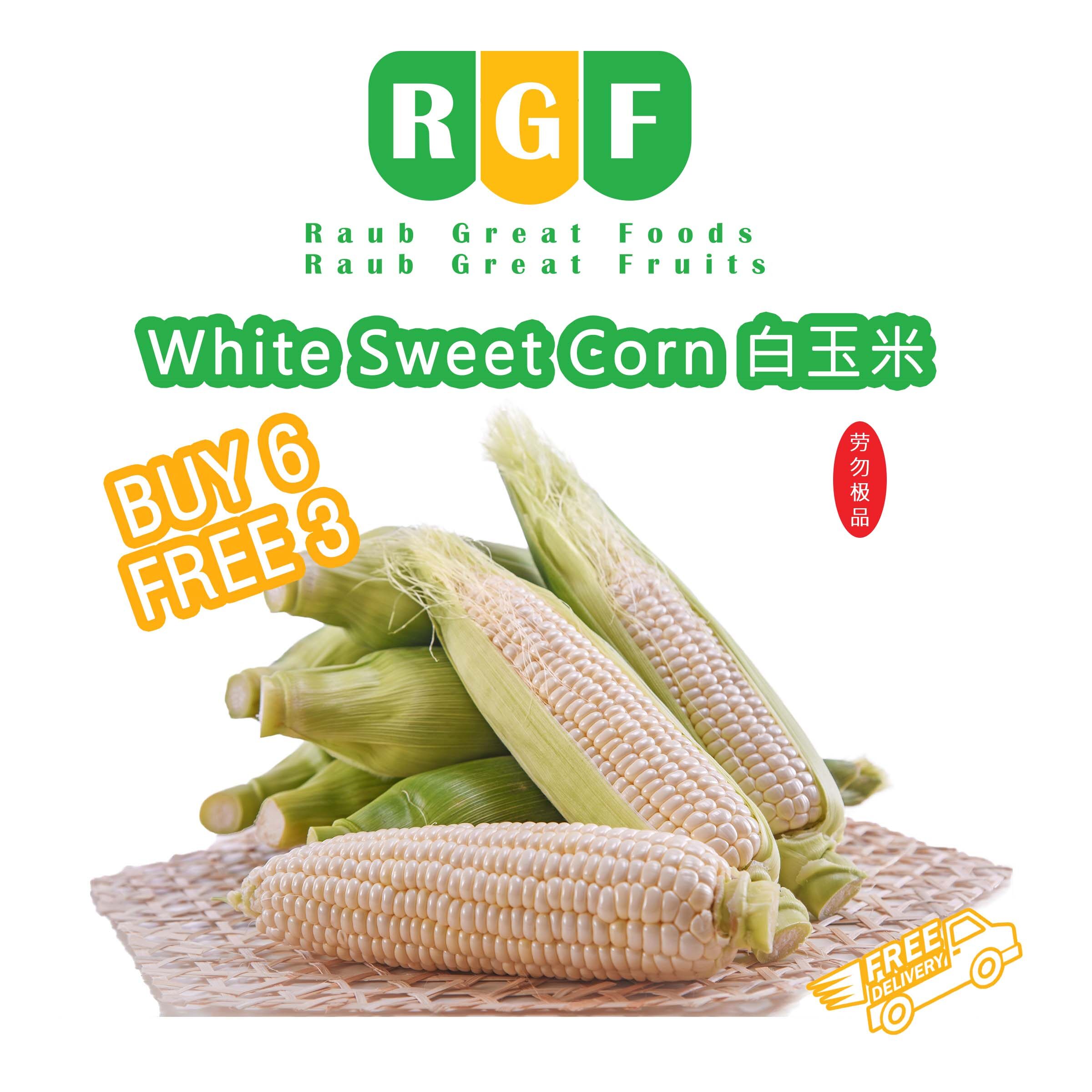 Buy Jagung Susu Cameron online | Lazada.com.my