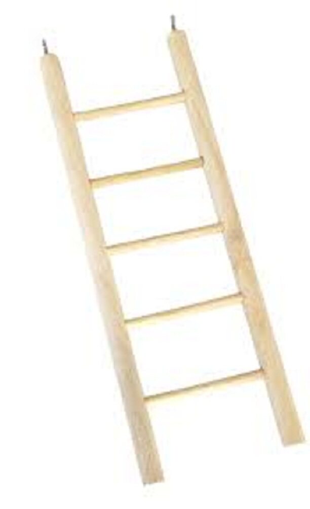 Wooden Bird ladder fun cage toy for bird training 1pcs