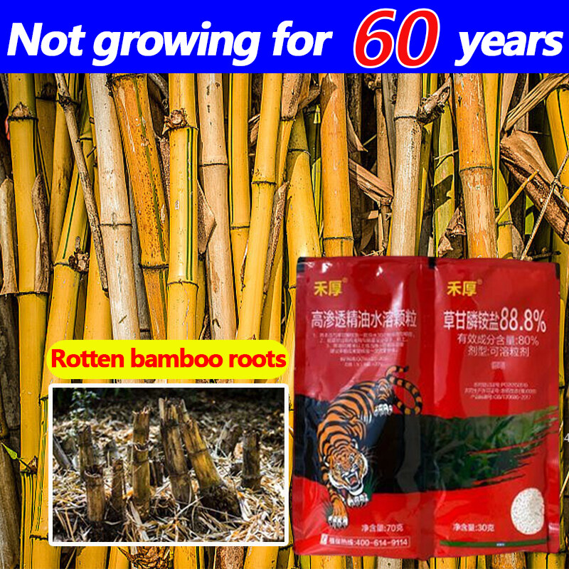 Shop Ubat Racun Pokok Mati online | Lazada.com.my