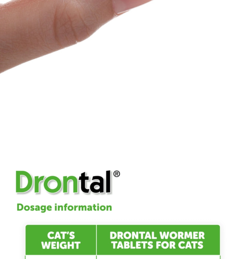 Drontal Cat Tablets Treatment and Control Intestinal Worms in Cats ...